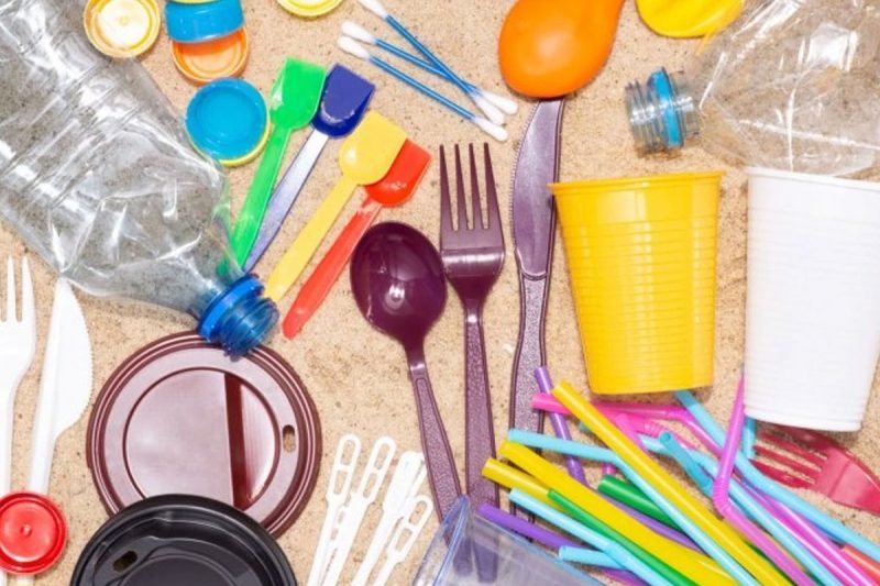 Plastik Tek Kullanımlık Ambalaj Kullanımının Azaltılması: Küresel ve ...